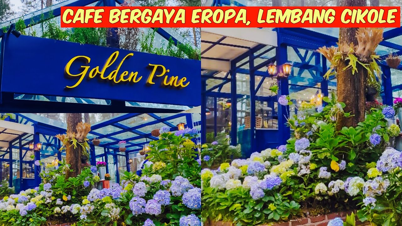 HIDDEN GEM CAFE ALA EROPA DI TENGAH HUTAN PINUS LEMBANg CIKOLE - YouTube