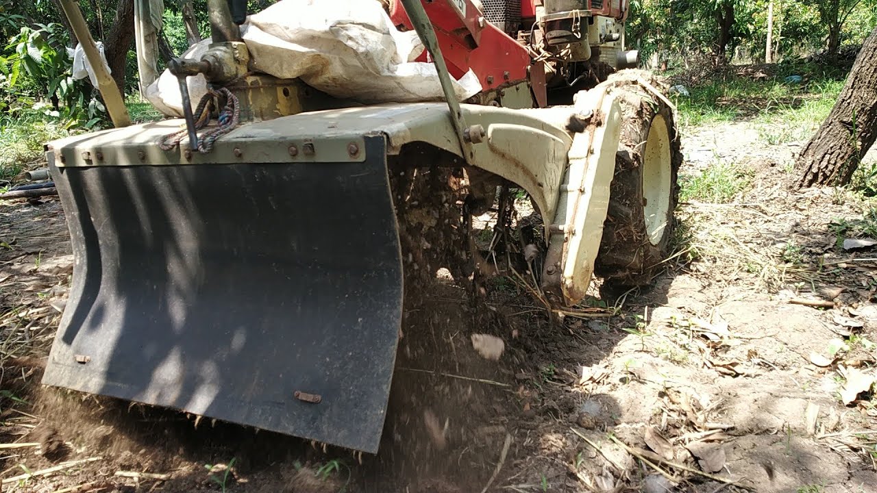 my power tiller cow reactions #minivlog - YouTube