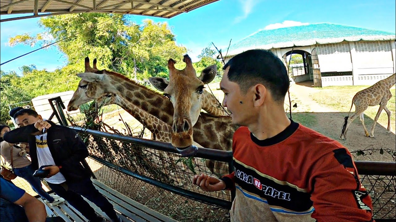 BALUARTE NI CHAVIT SINGSON TOUR WITH THE BIGBIKERS - YouTube