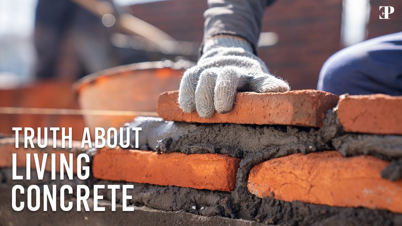 The Truth About 'Living' Concrete Everybody Should know - YouTube