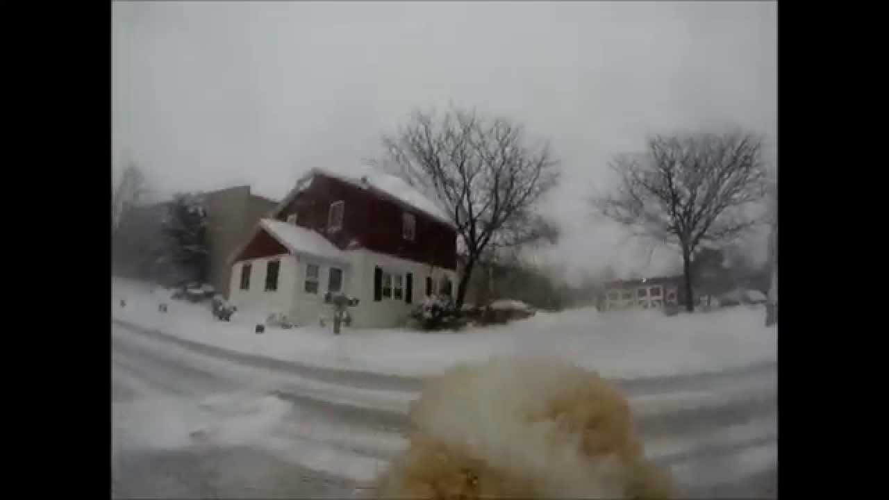 Life of Sully - Snow - YouTube