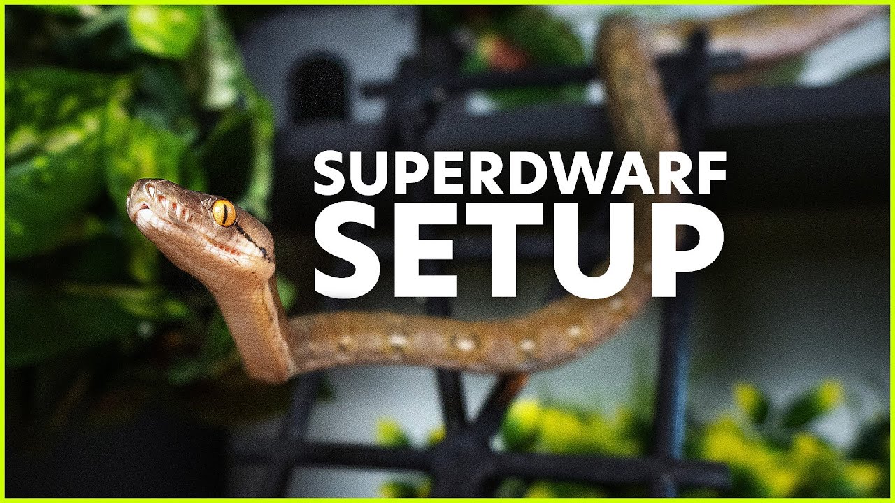 Superdwarf Retic Setup — COMPLETE WALKTHROUGH - YouTube