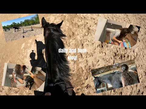 DOG SITTING, BATHING THE DOGS, RIDING OUTSIDE, AND MORE!! GOPRO JUMP ...