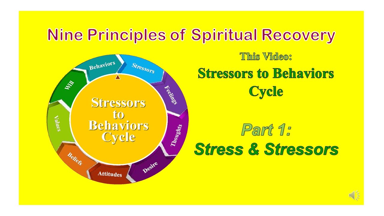 NPSR Stressors to Behaviors Cycle Pt 1 Video - YouTube