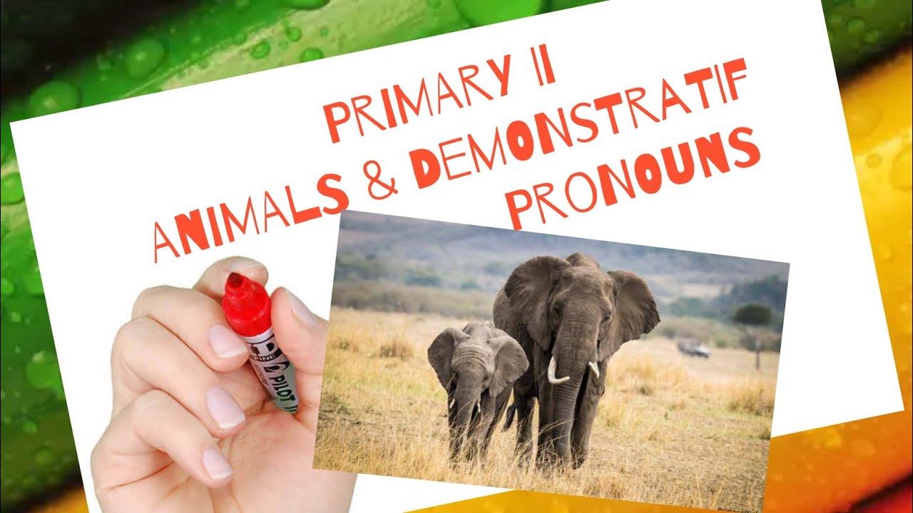 PRIMARY 2 _ DESCRIBING ANIMALS with DEMONSTRATIVE PRONOUNS - YouTube