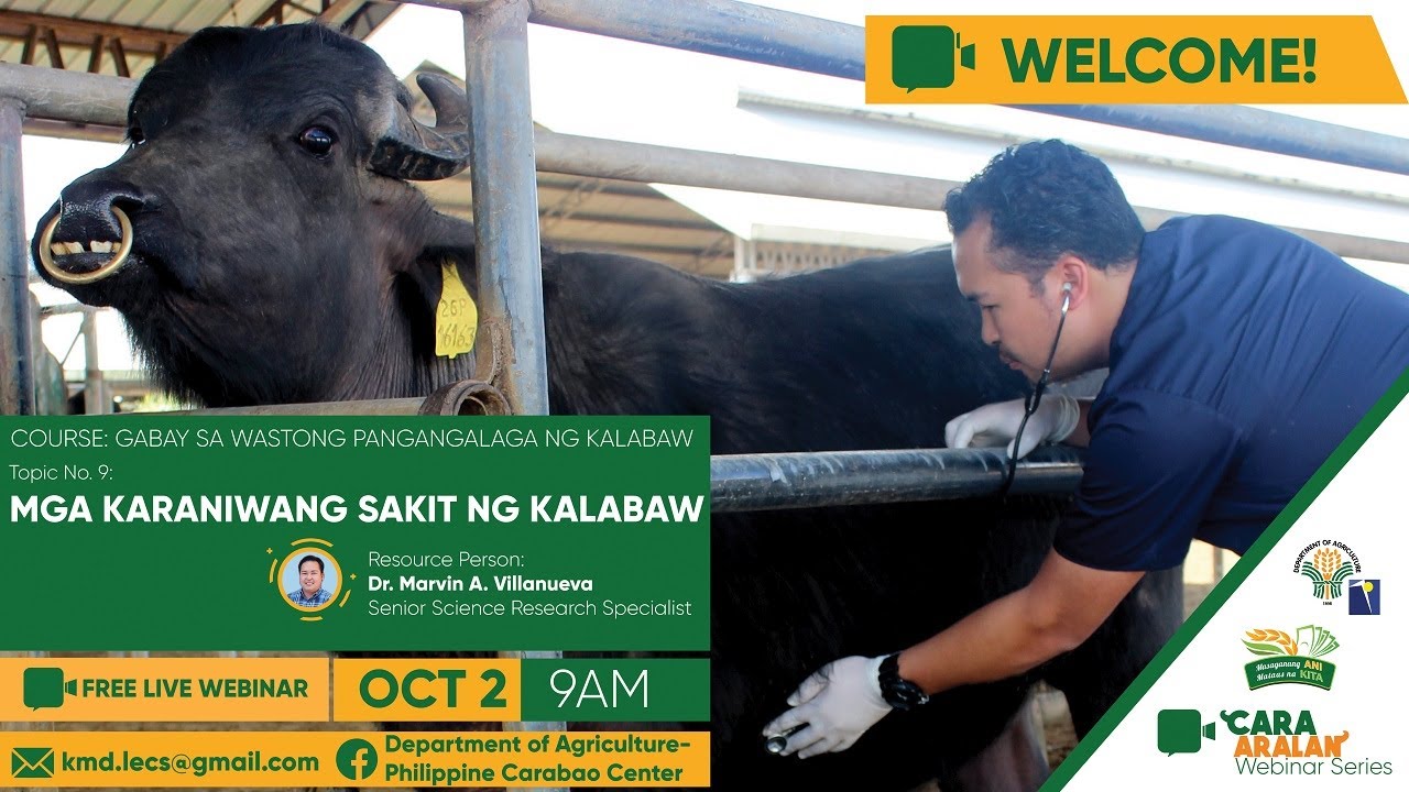 Cara-Aralan Webinar Series: Mga Karaniwang Sakit ng Kalabaw (Part I ...