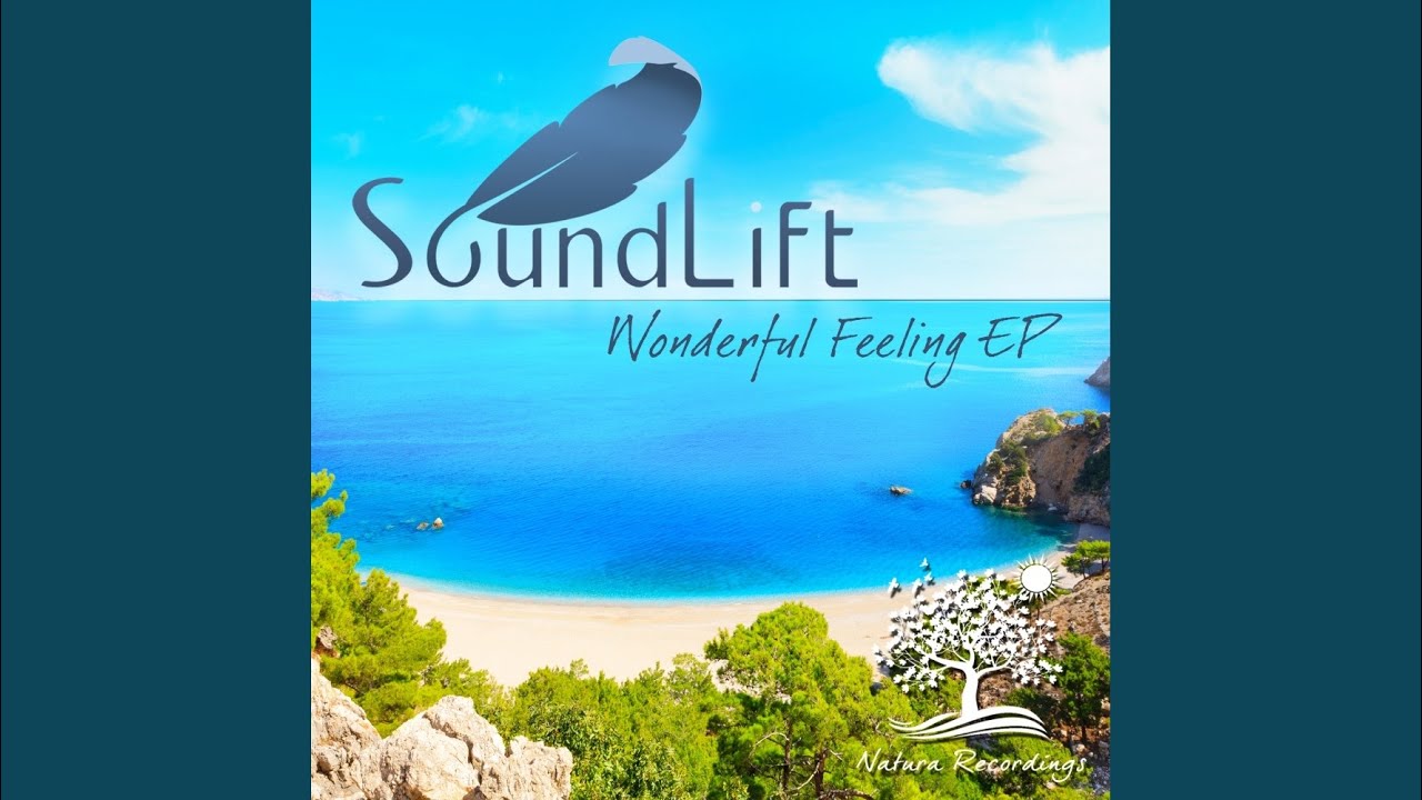 Wonderful Feeling (Original Mix) - YouTube