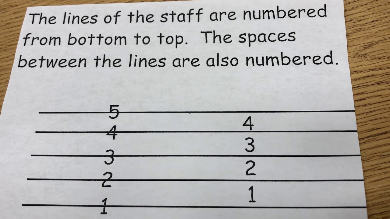 The NUMBERS of the Lines & Spaces of the Staff - YouTube