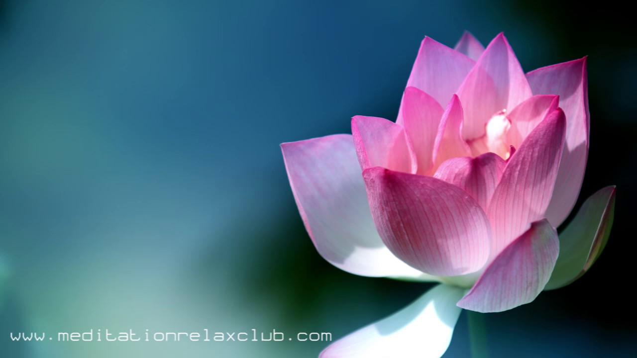 8 HOURS Relax Melodies and Instrumental Relaxing Deep Sleep Music ...