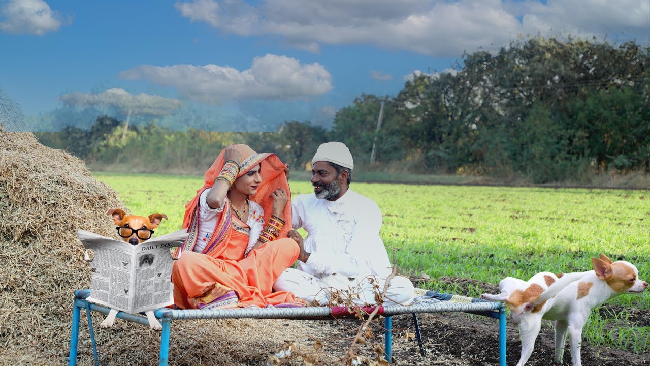 વેજો બાય વલો થય ગયો | Gujarati Comedy Video | Desi Paghadi - YouTube