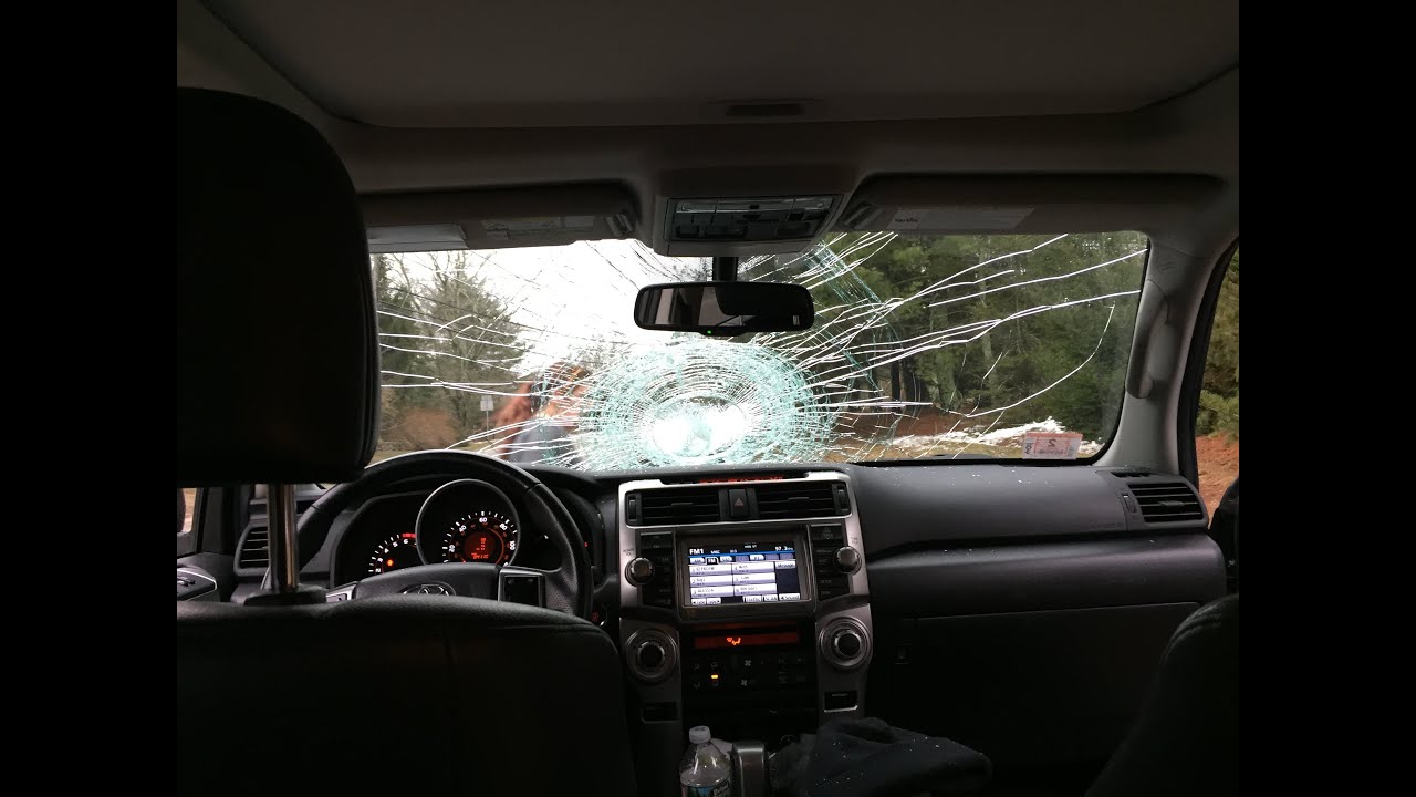 Tree Branch fell on Car - YouTube