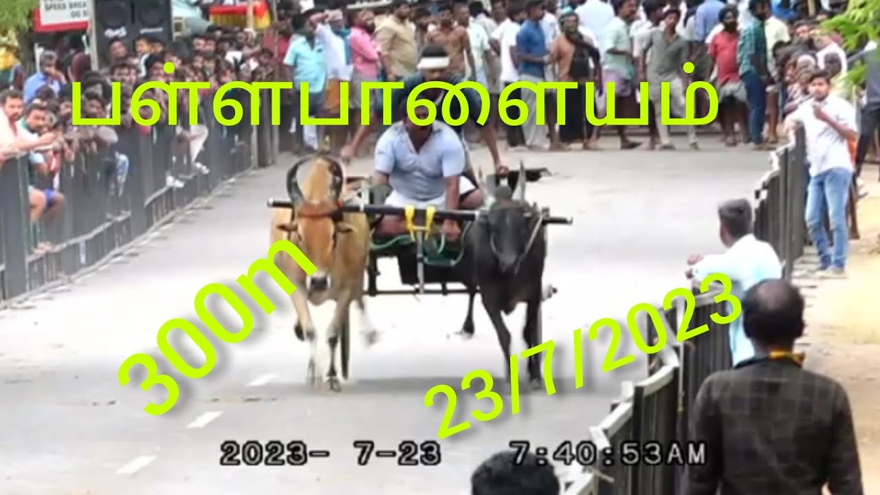 💞 pallapalayam 💞udumalai💞 23 7 2023💞300m 💞 - YouTube