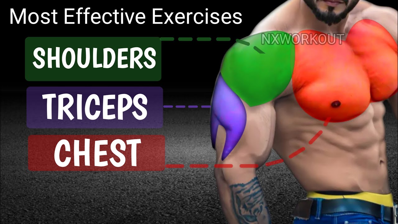 Chest Shoulders Triceps Workout | Upper Body Workout | Upper Body - YouTube
