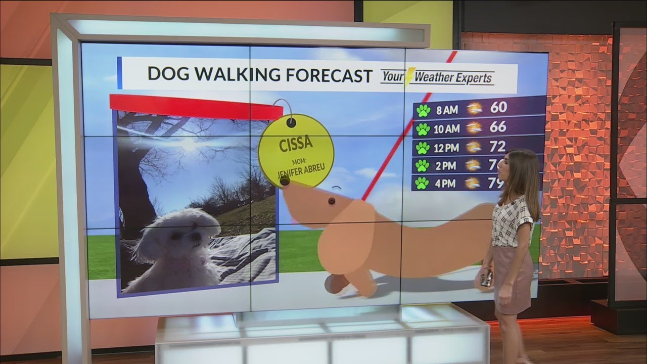 Dog Walking Forecast - YouTube