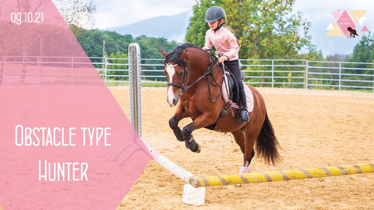 Obstacle type Hunter - Séance du 09 octobre 2021 - YouTube