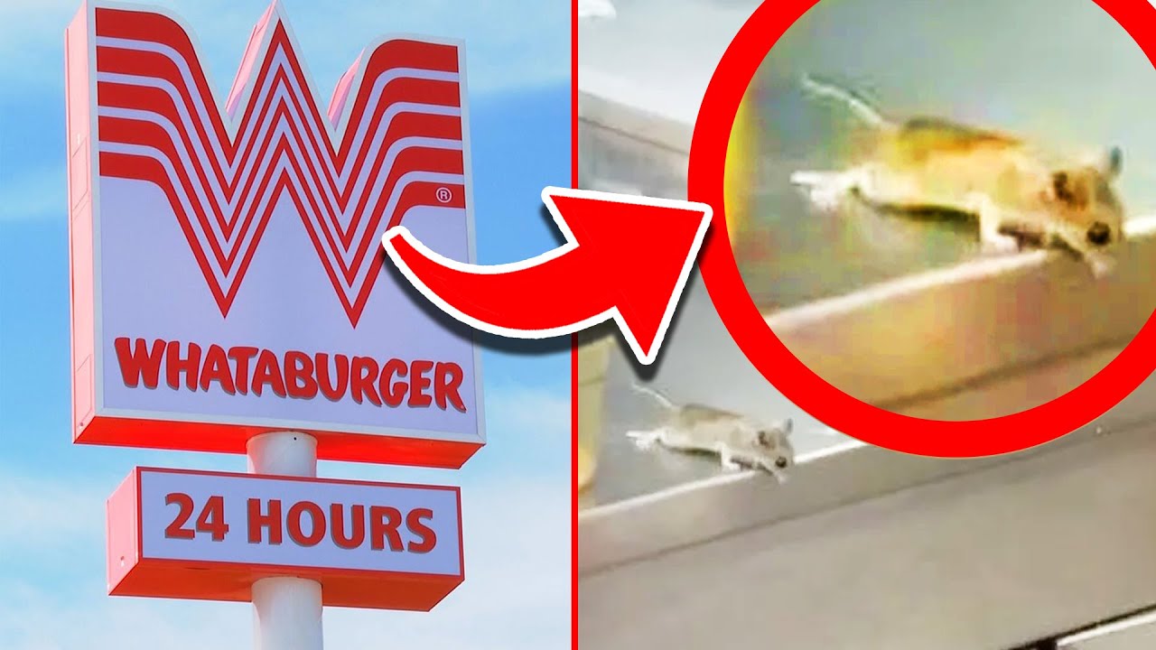 10 Secrets Whataburger Doesn't Want You to Know - YouTube