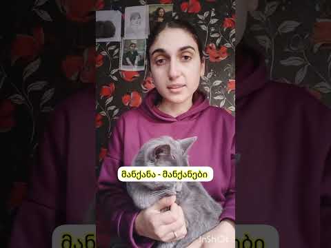 (Gürcü Dili) Ismin cəmi | -ები