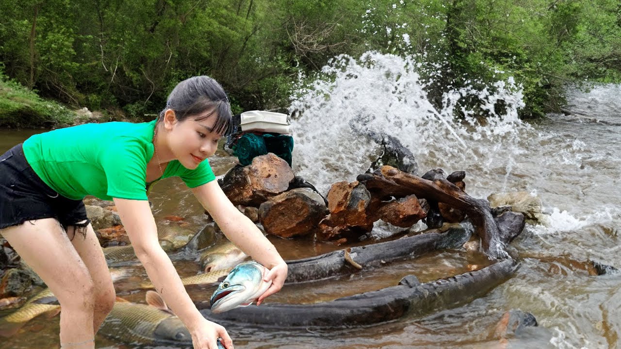 Free Bushcraft | Fishing - Go to the Forest and Catch Lots of Fish ...