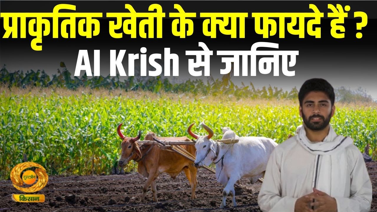 Organic Farming | प्राकृतिक खेती के क्या फायदे हैं ? AI Krish से जानिए ...