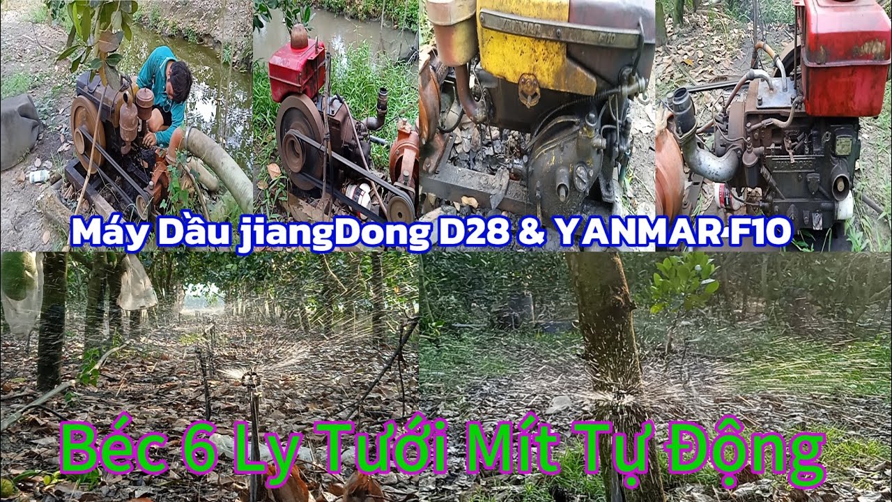 Máy Dầu jiangDong D28 & YANMAR F10 Béc 6 Ly Tưới Mít Tự Động - YouTube