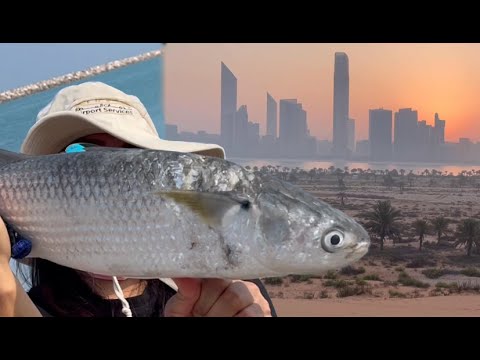 Biyah Fish in Lulu Island(Fishing in Abu Dhabi 2021) Ep.30 - YouTube