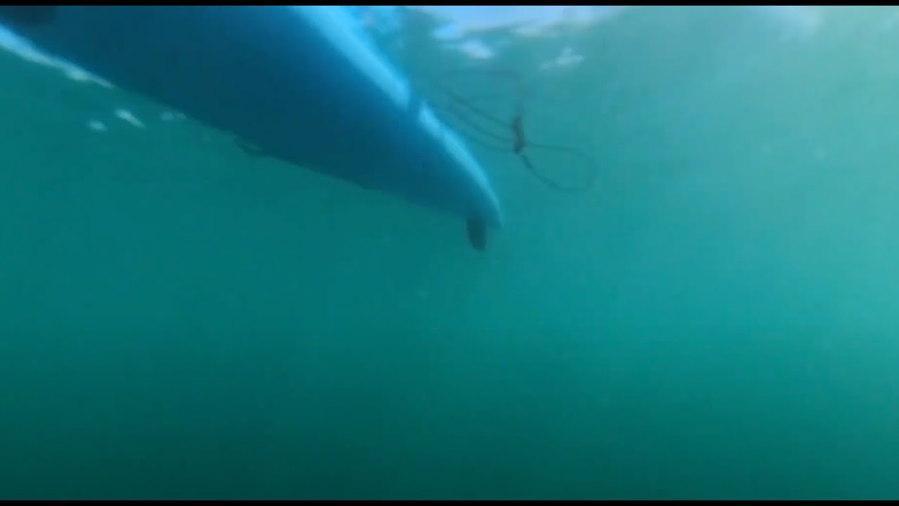 Have you wondered what a 360 Camera looks like on a Kayak? - YouTube