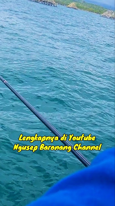 Mancing baronang jalu - YouTube