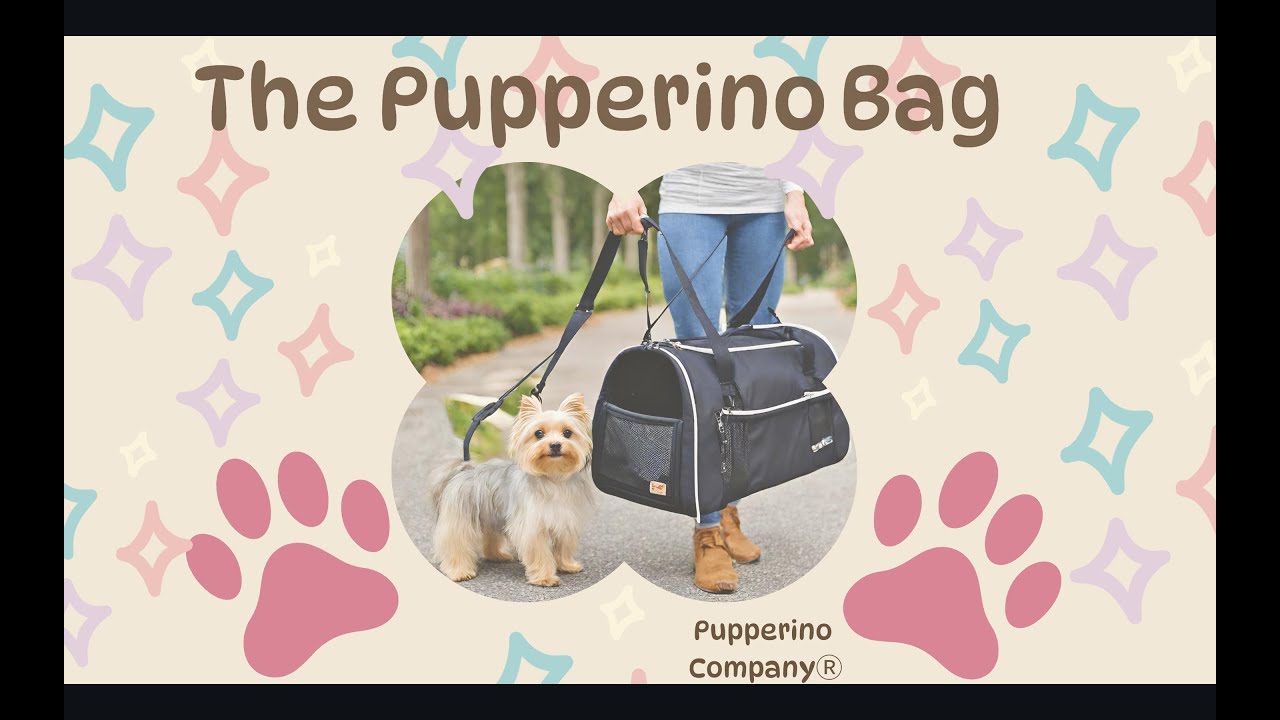 Marketing Pupperino Bag - YouTube