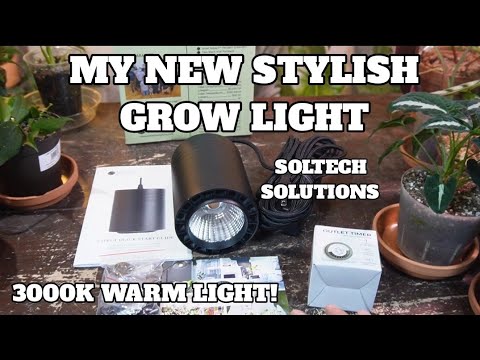 installing stylish new grow light & my favorite under-rated plants ...
