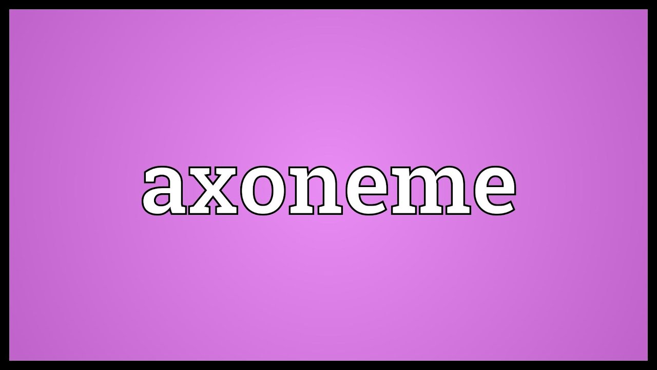 Axoneme Meaning - YouTube