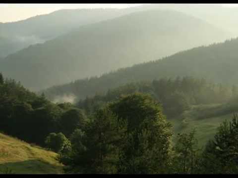 Elitsa Alexandrova - \