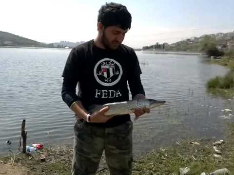 Kocaeli  Gölkay park Turna avı 4