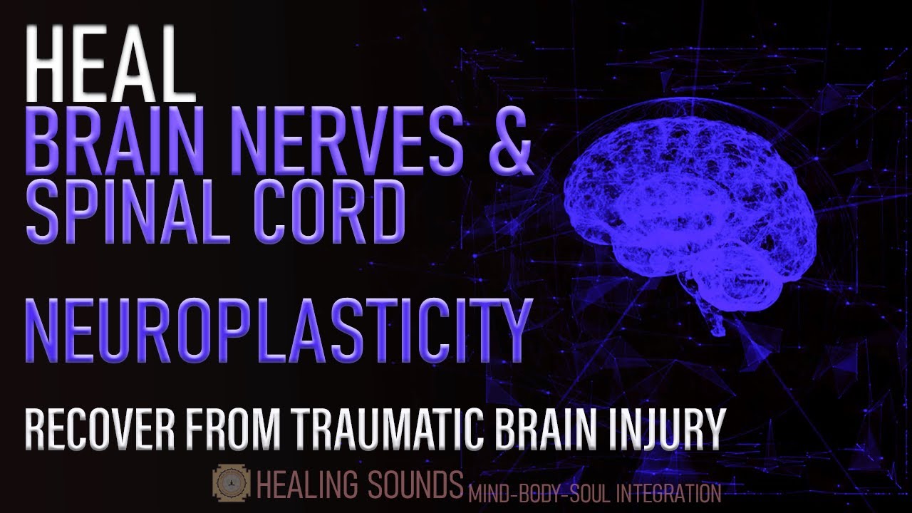 Heal your Brain spinal Cord and Nerves | Recover Traumatic Brain Injury ...