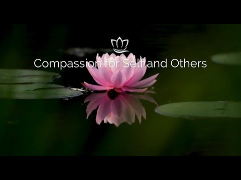 Meditation: Compassion for Self and Others with Chris Germer - YouTube