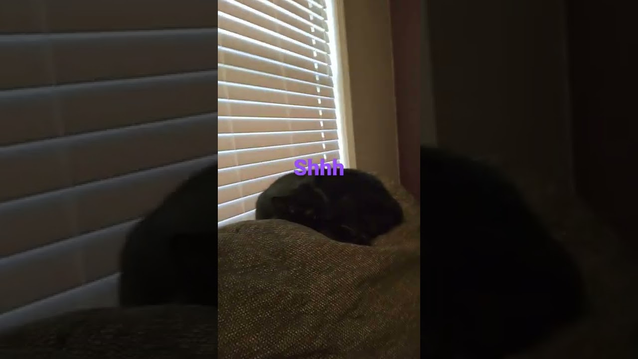 bro got scared - YouTube