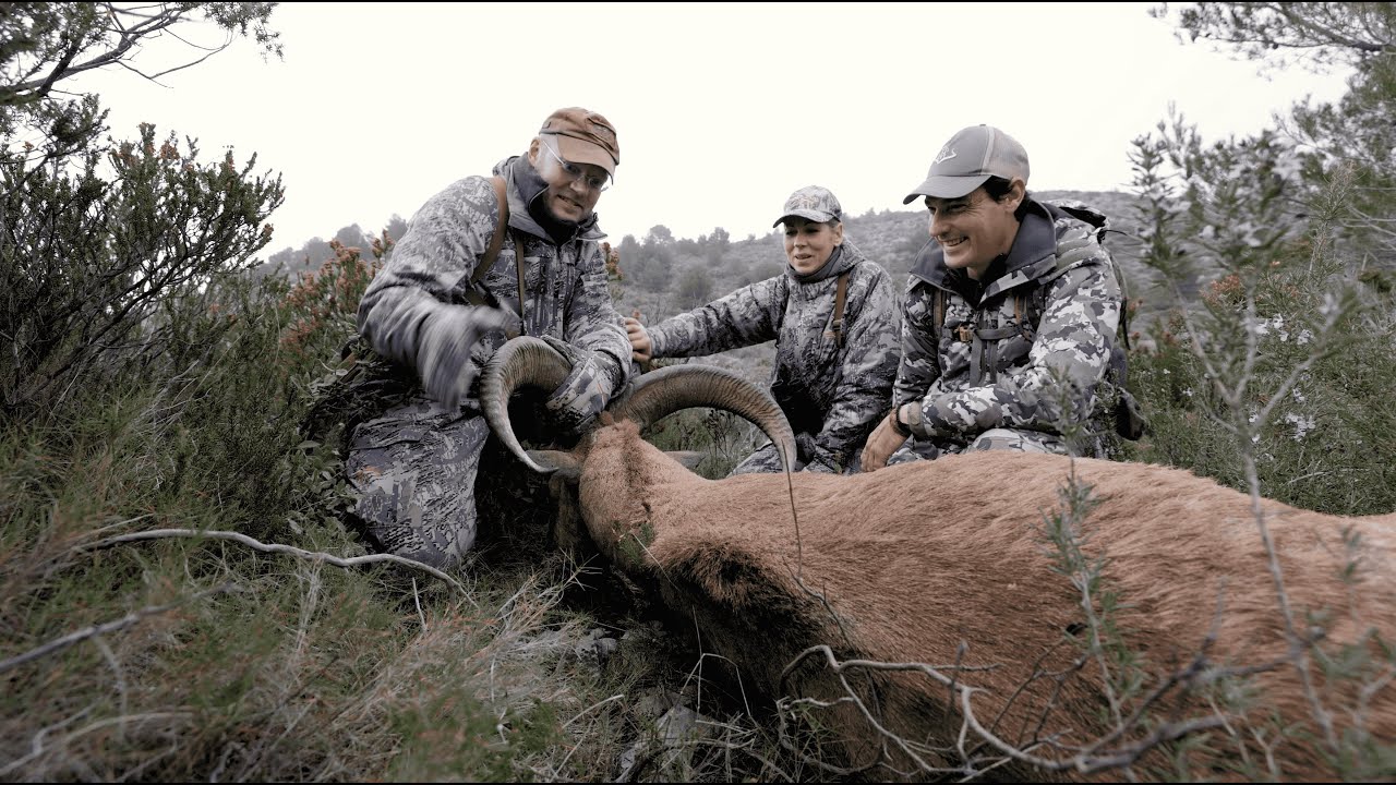 Abenteuer Jagd in Spanien mit Chris Balke – JÄGER - YouTube