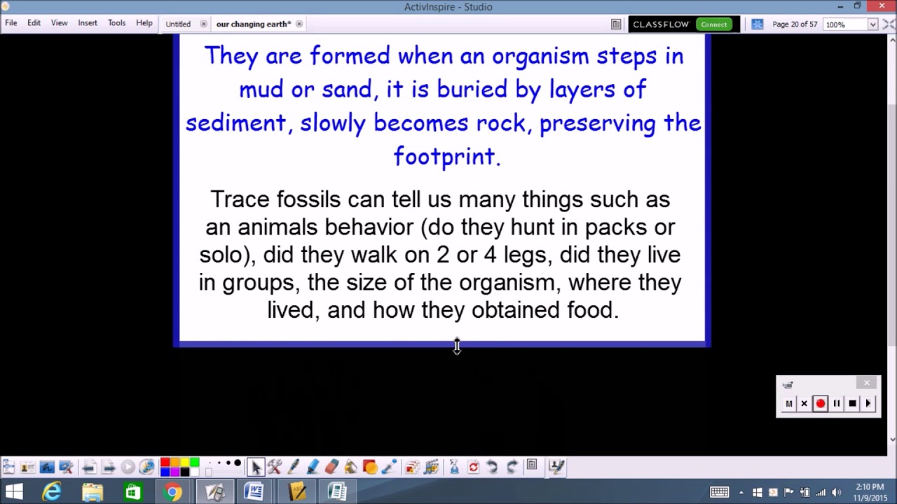 Trace Fossil Information YouTube trace-fossil-information-youtube