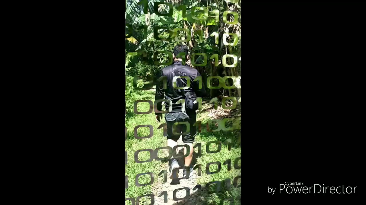 Estrella Flower Farm Tour at Indang Cavite - YouTube