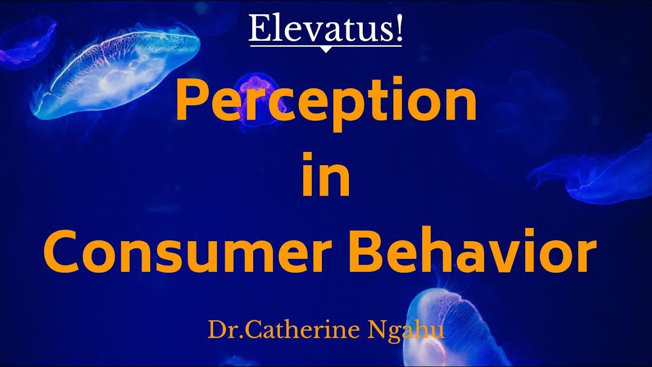 How Perception influences Consumer Behavior - YouTube