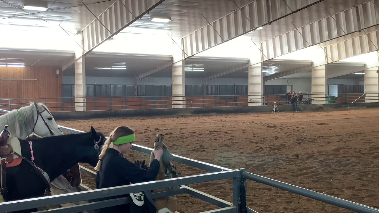 My Dad is Trashed Double Check Arena Eaton, CO - YouTube