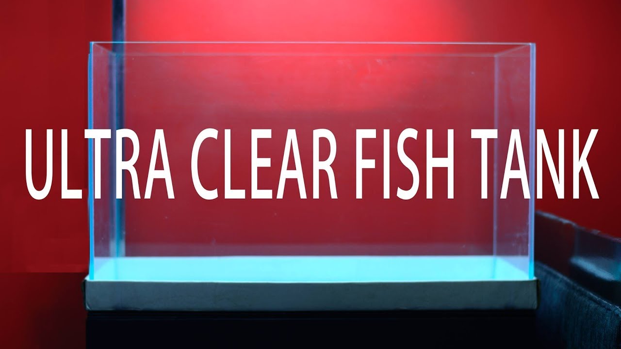 #21 My *NEW* ultra clear fish tank - YouTube