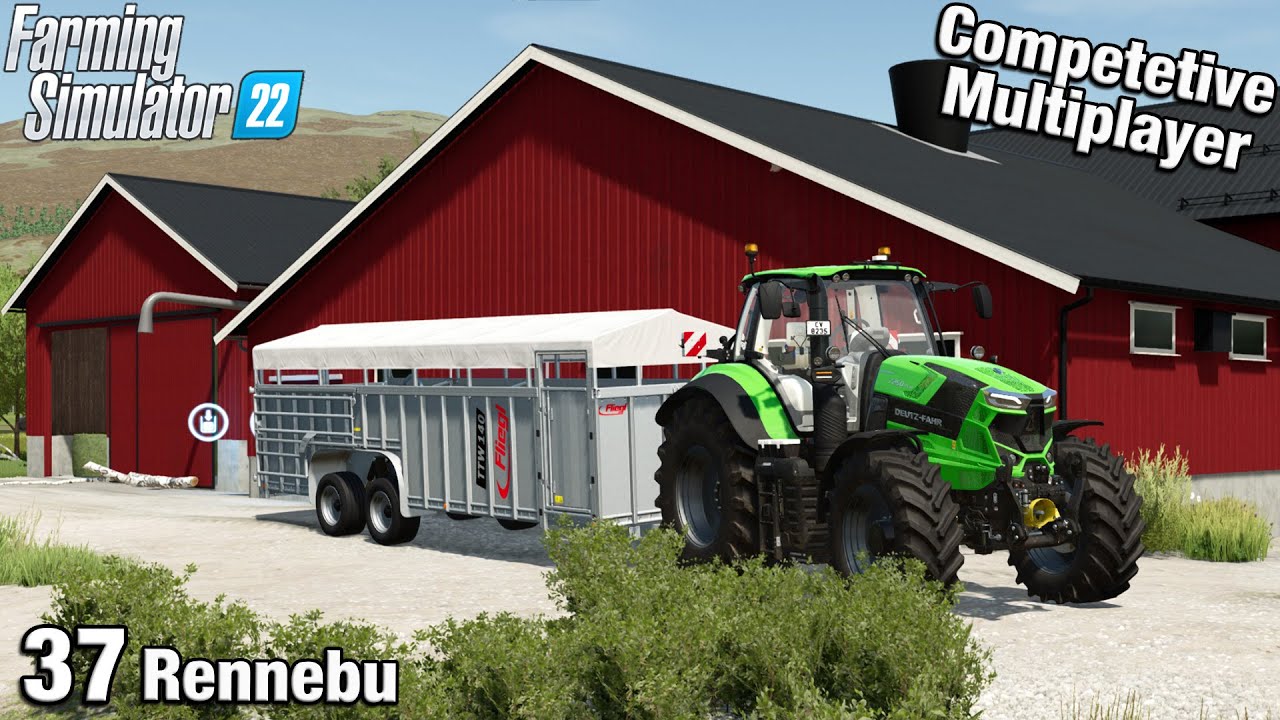 DOUBLING THE SIZE OF THE COW HEARD Rennebu Competitive Multiplayer FS22 ...