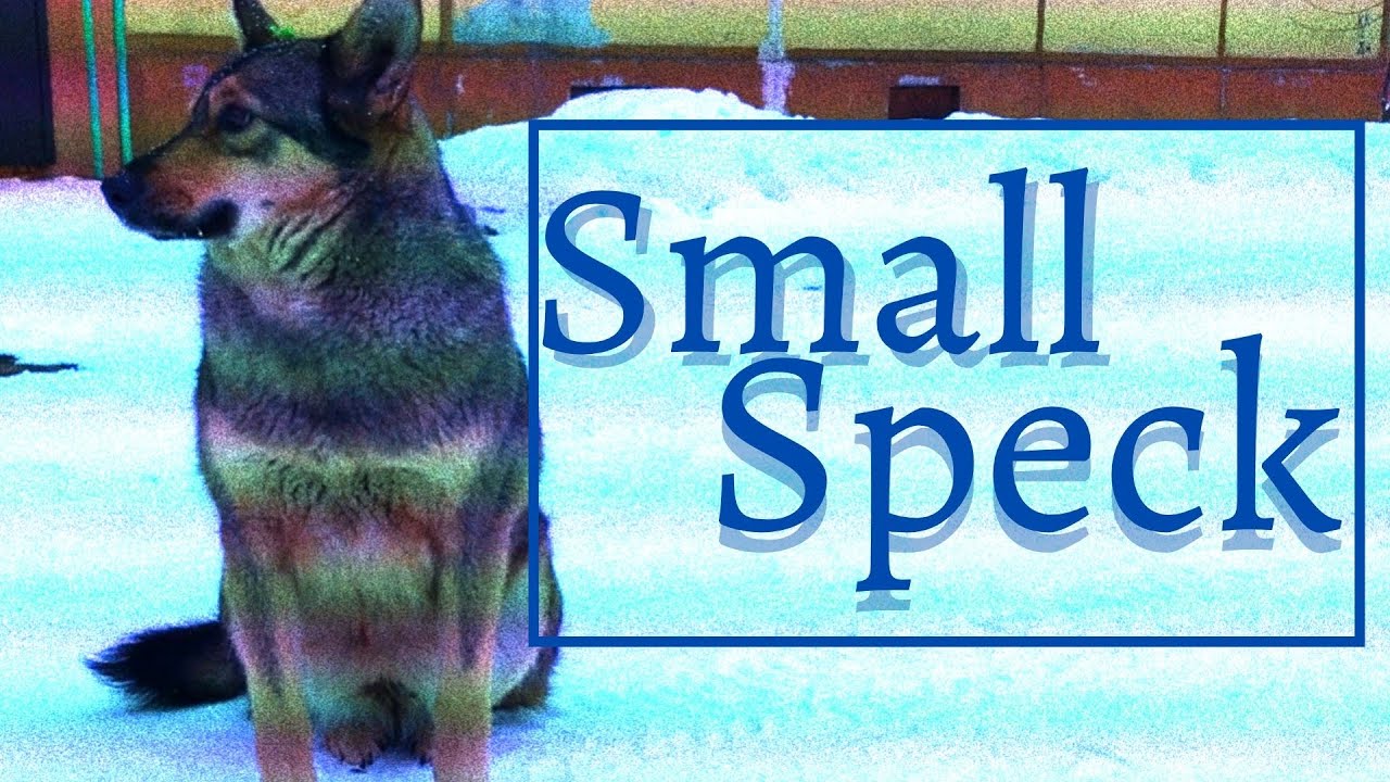 Small Speck "клип" (doer: Dmitry Abramsov) - YouTube