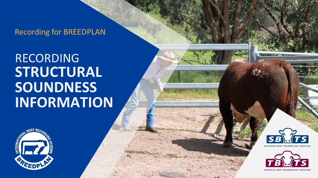 Recording Structural Soundness Information - YouTube