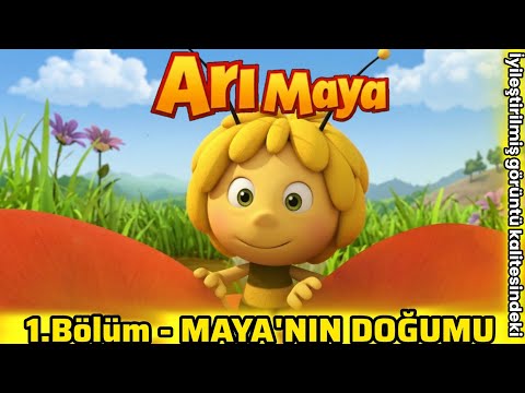 ✨ Arı Maya 1. Bölüm: Maya'nın Doğumu ( İyileştirilmiş Version Full HD)