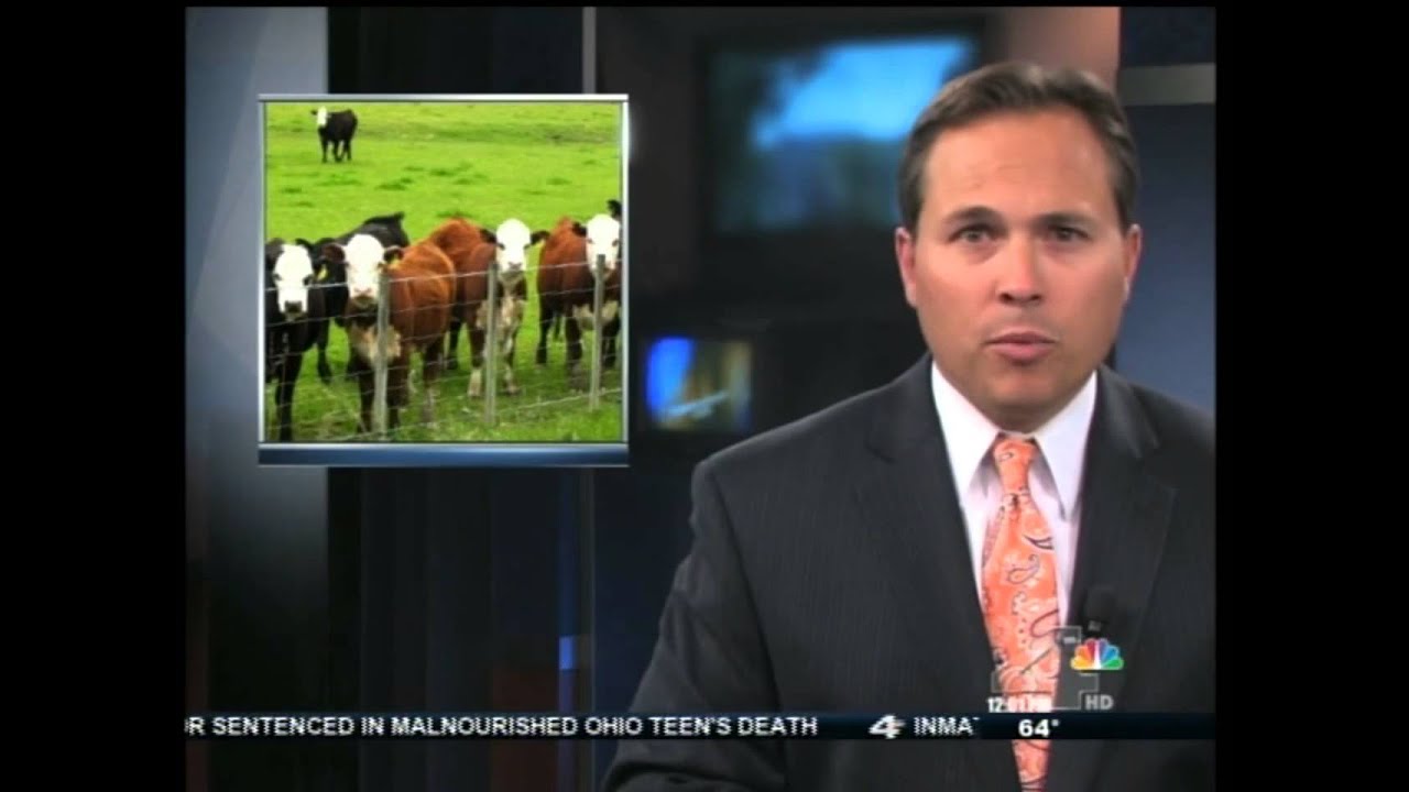 Harry Reid on Bundy Ranch Cattle Battle: "It's Not Over" - YouTube