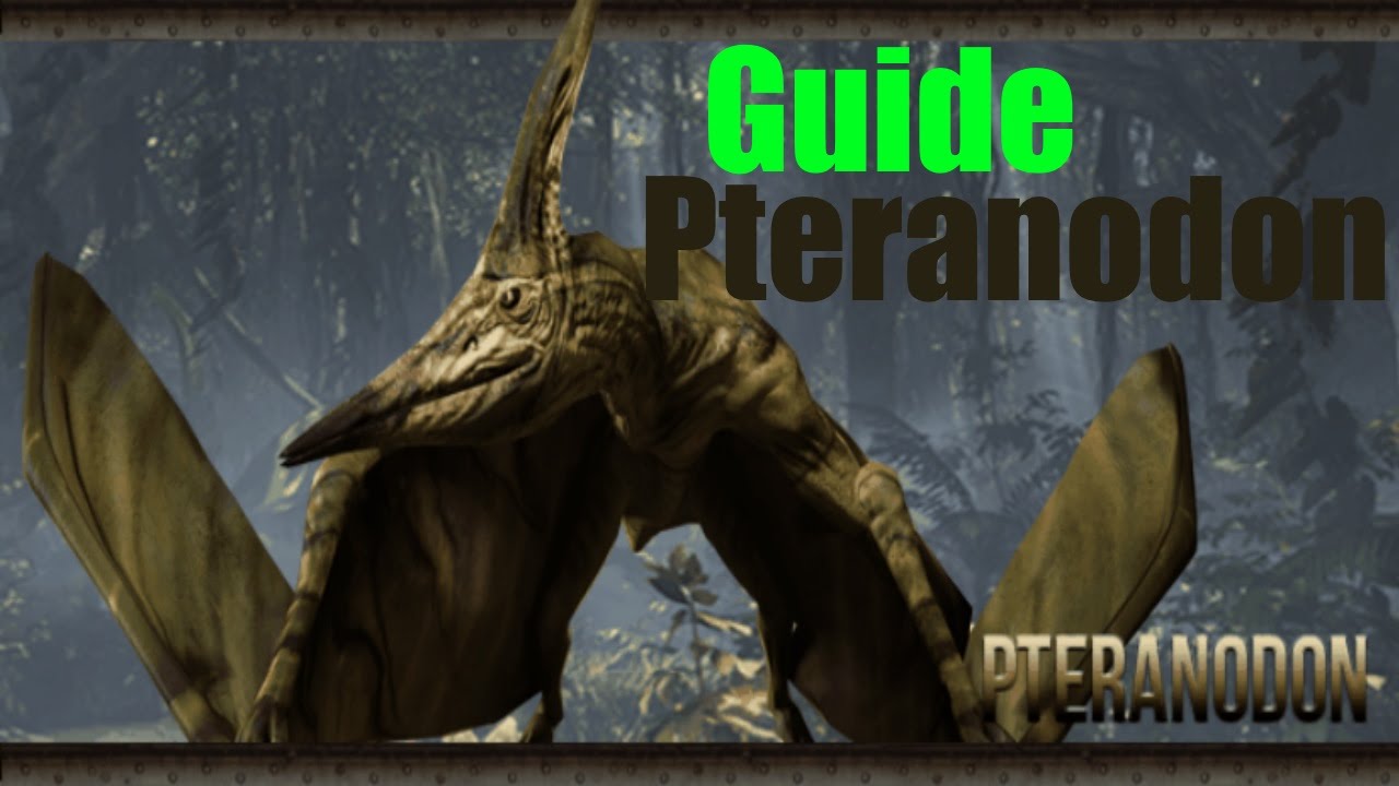 Let's play Primal Carnage - Guide #6 - Pteranodon - YouTube