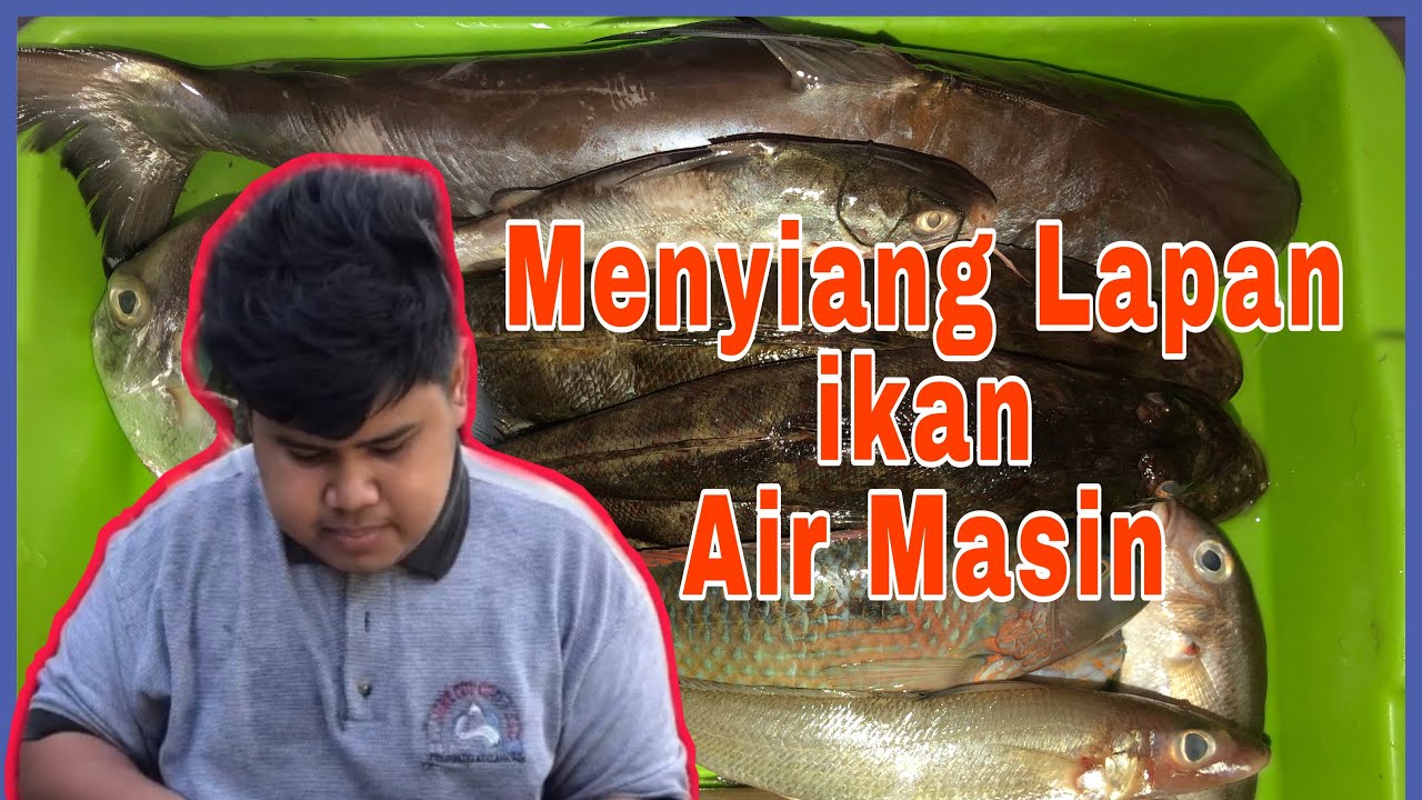 Tutorial Cara Siang Ikan | Menyiang 8 Jenis Ikan Air Masin (Jahan,Baji ...