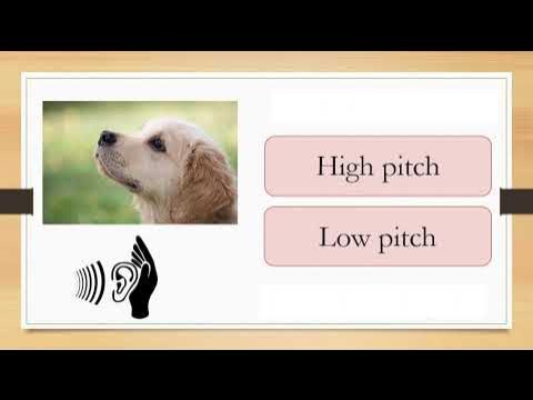 Learn About Pitch and Volume | KS2 Music and Science Activities | Hands ...