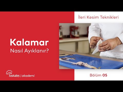 Kalamar Nasıl Ayıklanır? #kısıkateşakademi #kesimteknikleri #kalamar #gastronomi #aşçılık